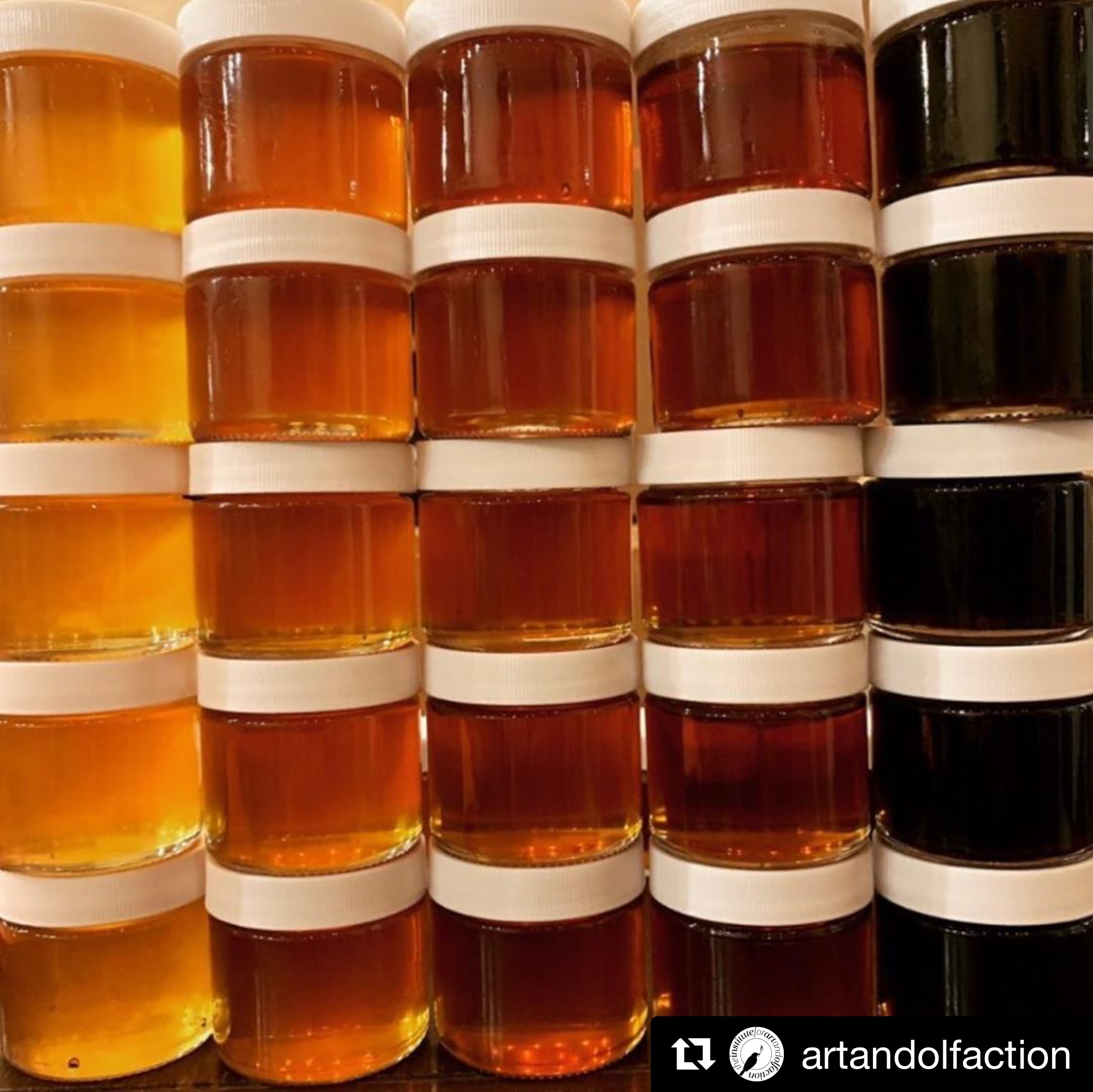 Honey Sensory Analysis – Scent Appreciation