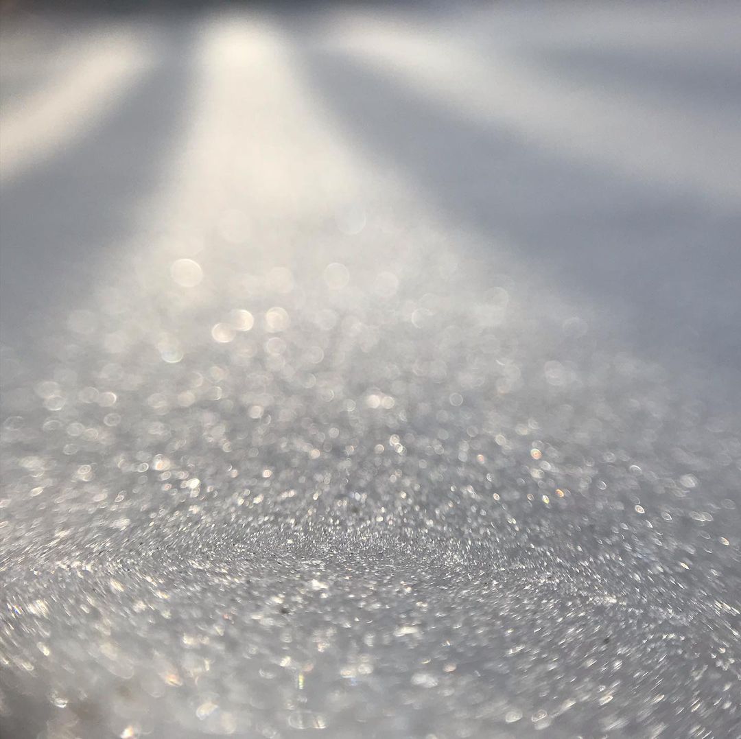 The Scent of Snow – Scent Appreciation