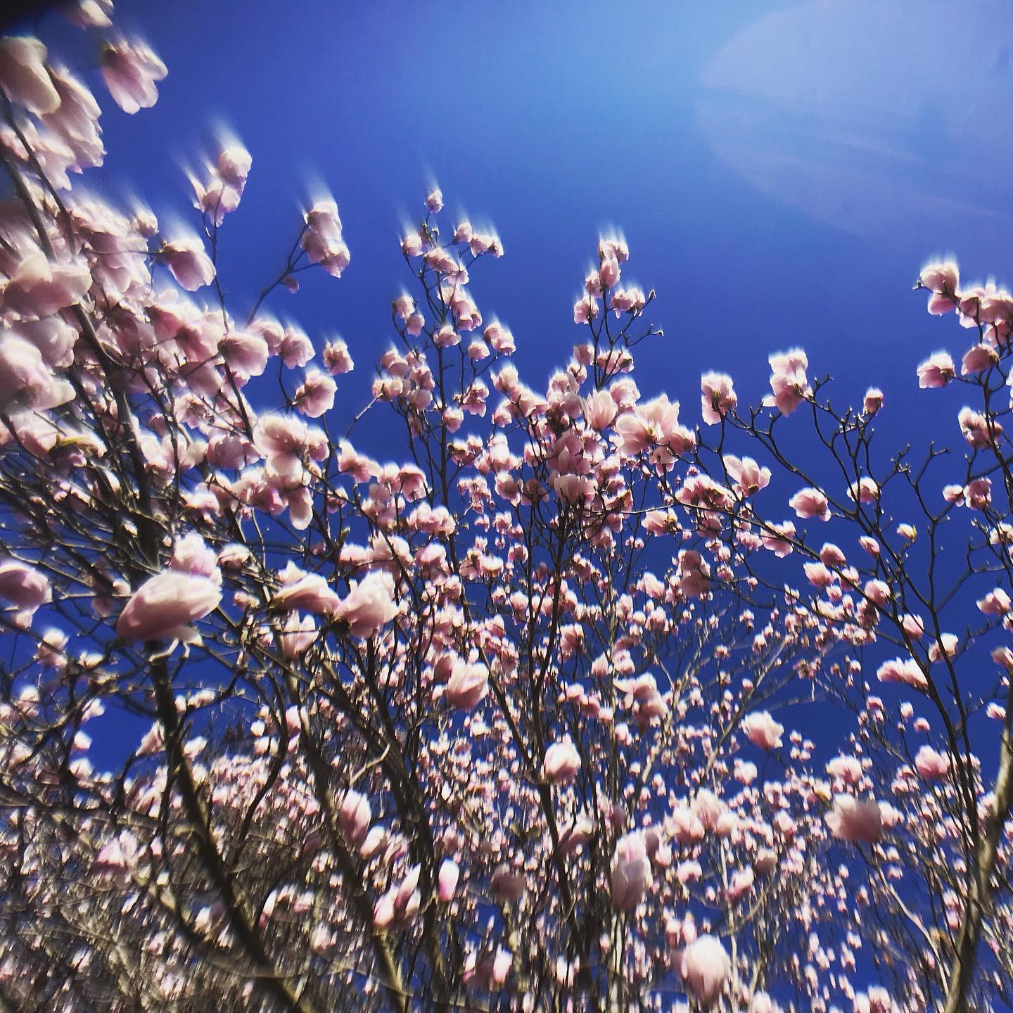 The Power of Smell – Scent Appreciation
