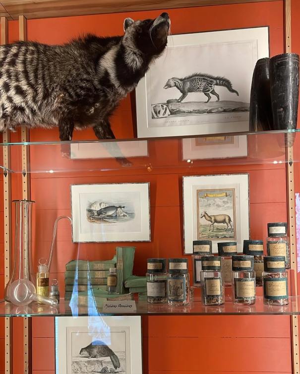 Scent Appreciation – encounters with scent in perfume, art, and daily life