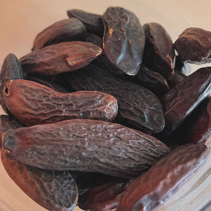 Perfume Note: Tonka Bean – Scent Appreciation